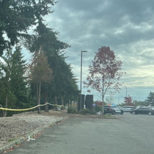 Man found dead with gunshot wounds in Tacoma, suspect at large | king5.com