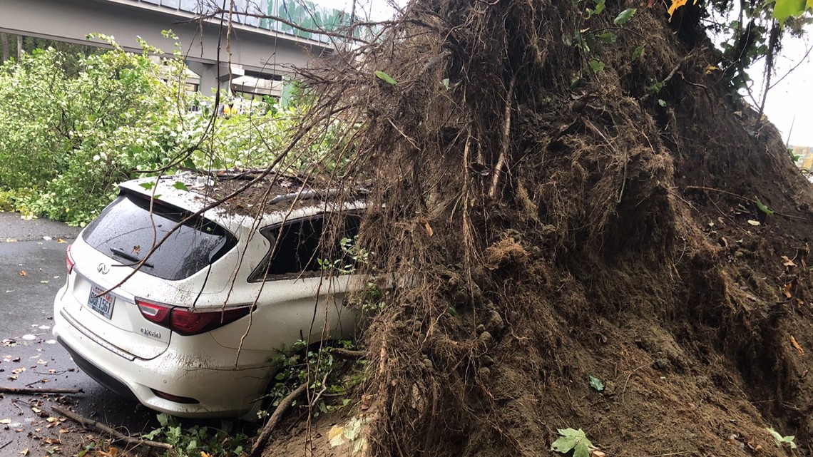 Large tree hits vehicle, blocking Bellevue Way SE during Monday commute ...