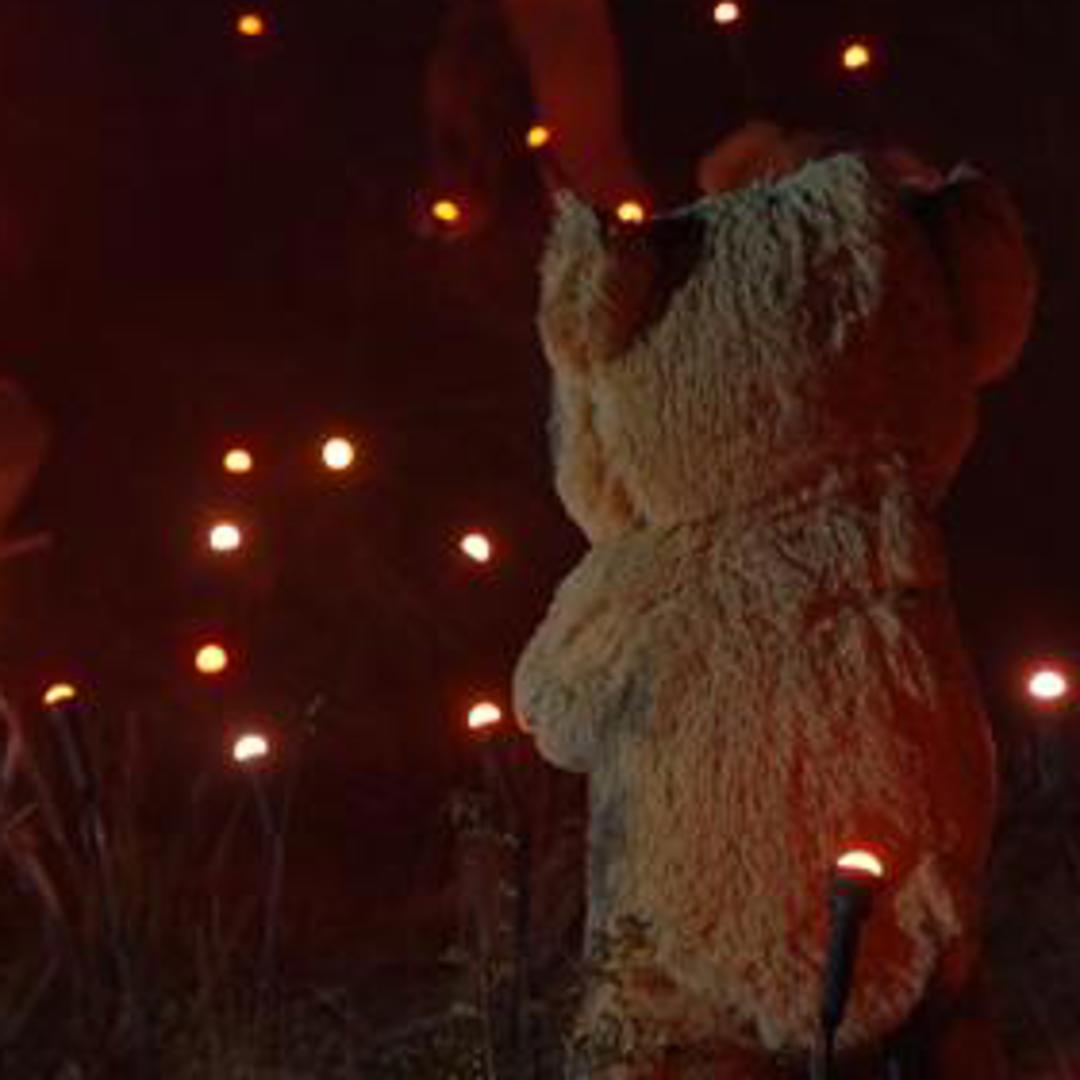 Forest of Shadows transforms Seattle with haunting artistry | king5.com