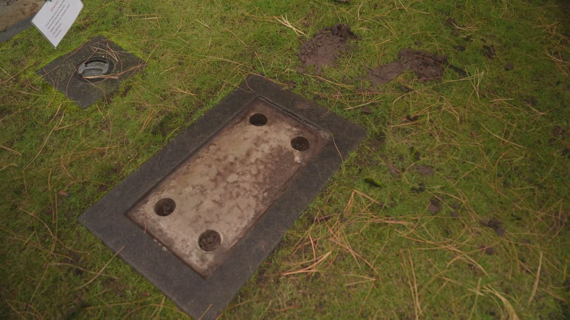 Police investigating bronze plaques stolen from graves at Sumner ...