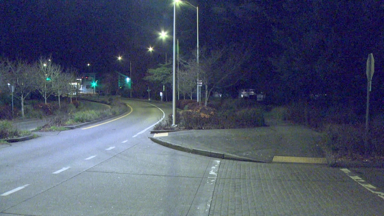 Multiple suspects fired about 60 rounds at car, injuring woman, police ...