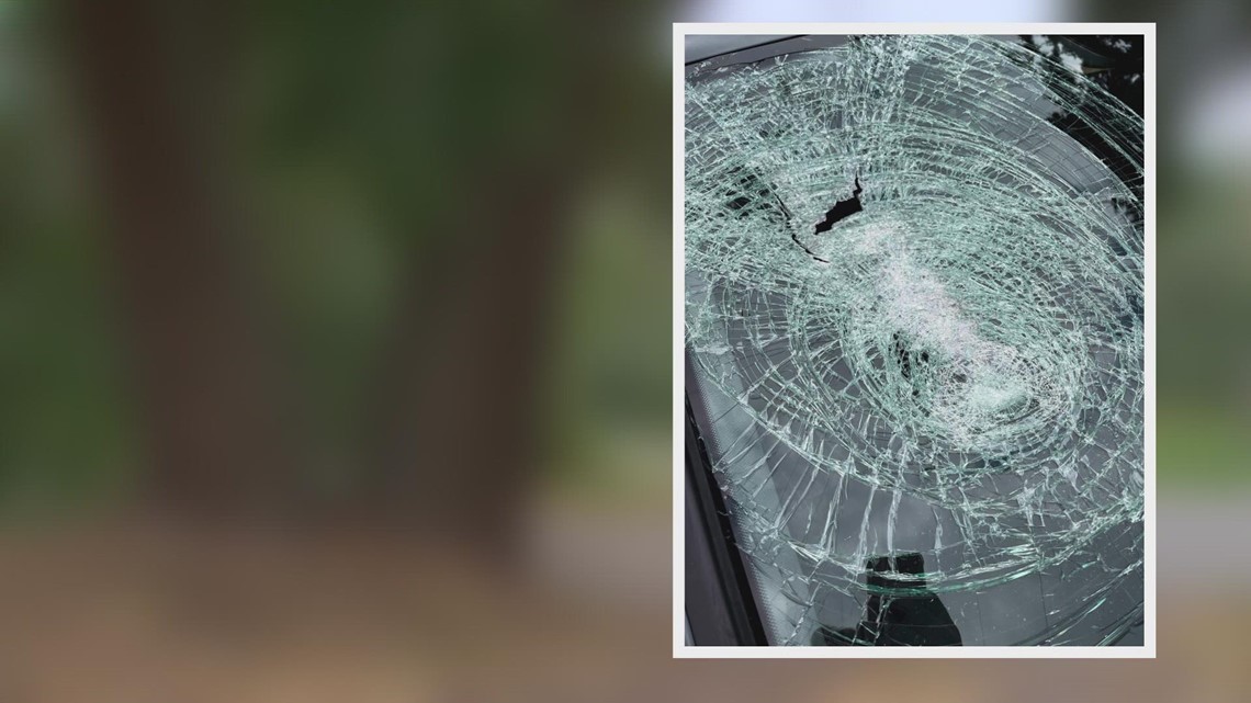 Washington State Patrol investigates man throwing rocks at cars along ...