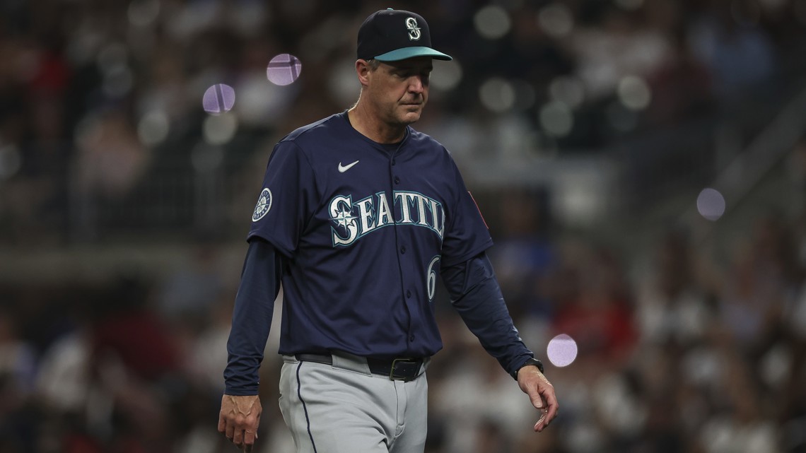 Catffeinated, a cat cafe, moves from Tacoma to Puyallup | king5.com