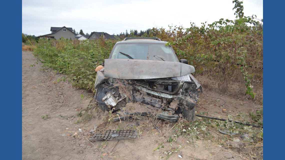 Driver wanted in fatal 2016 Whatcom County crash confirmed dead in ...