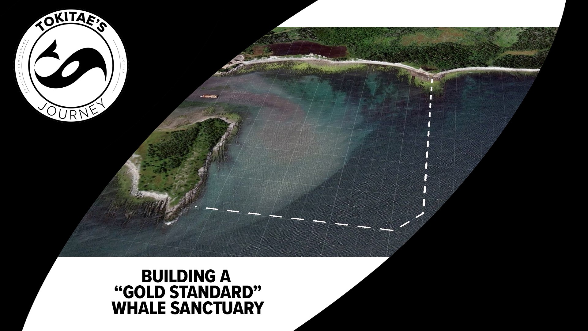 Building North America's first true whale refuge | king5.com