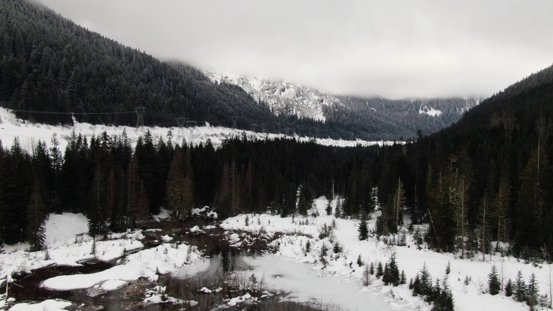 Amazon, then and now: 30 years later, KING 5 takes you back to the ...