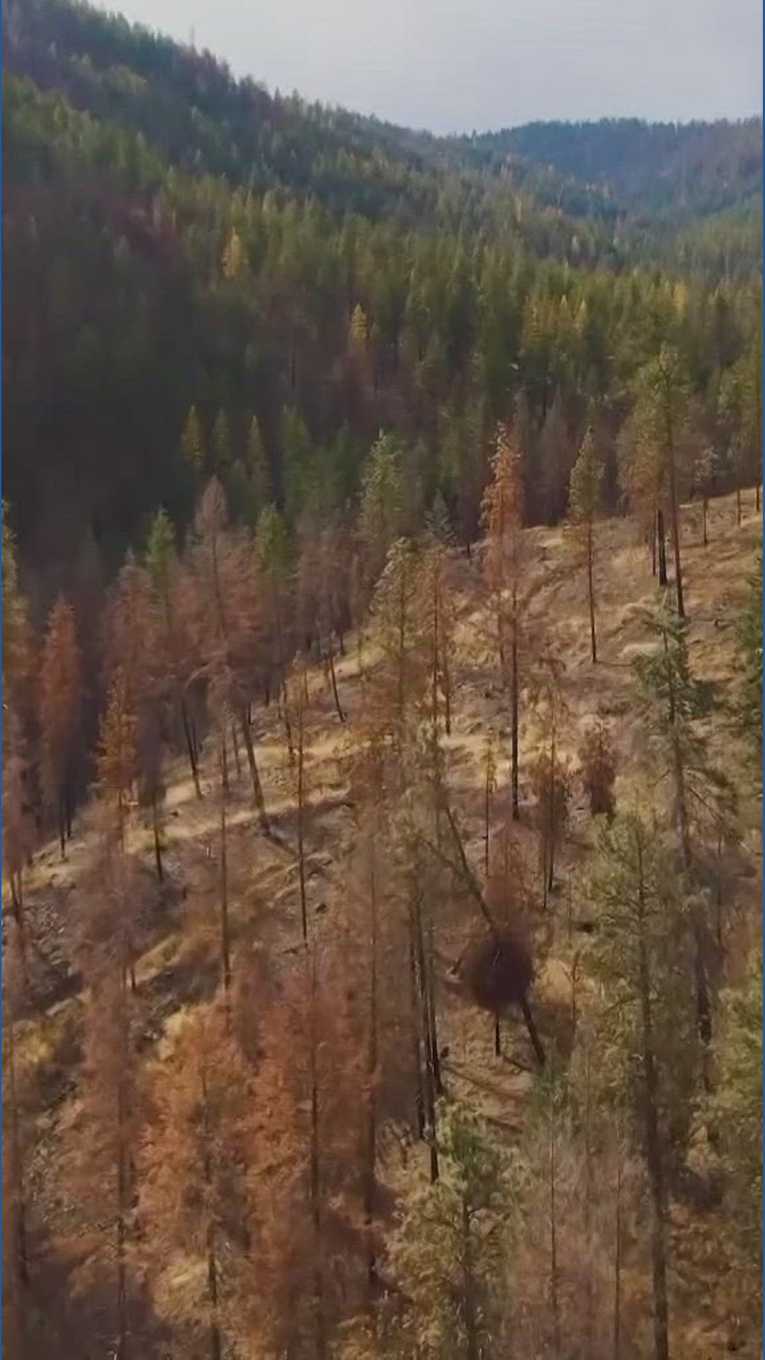 Washington’s warm and dry conditions set up concerning wildfire season ...