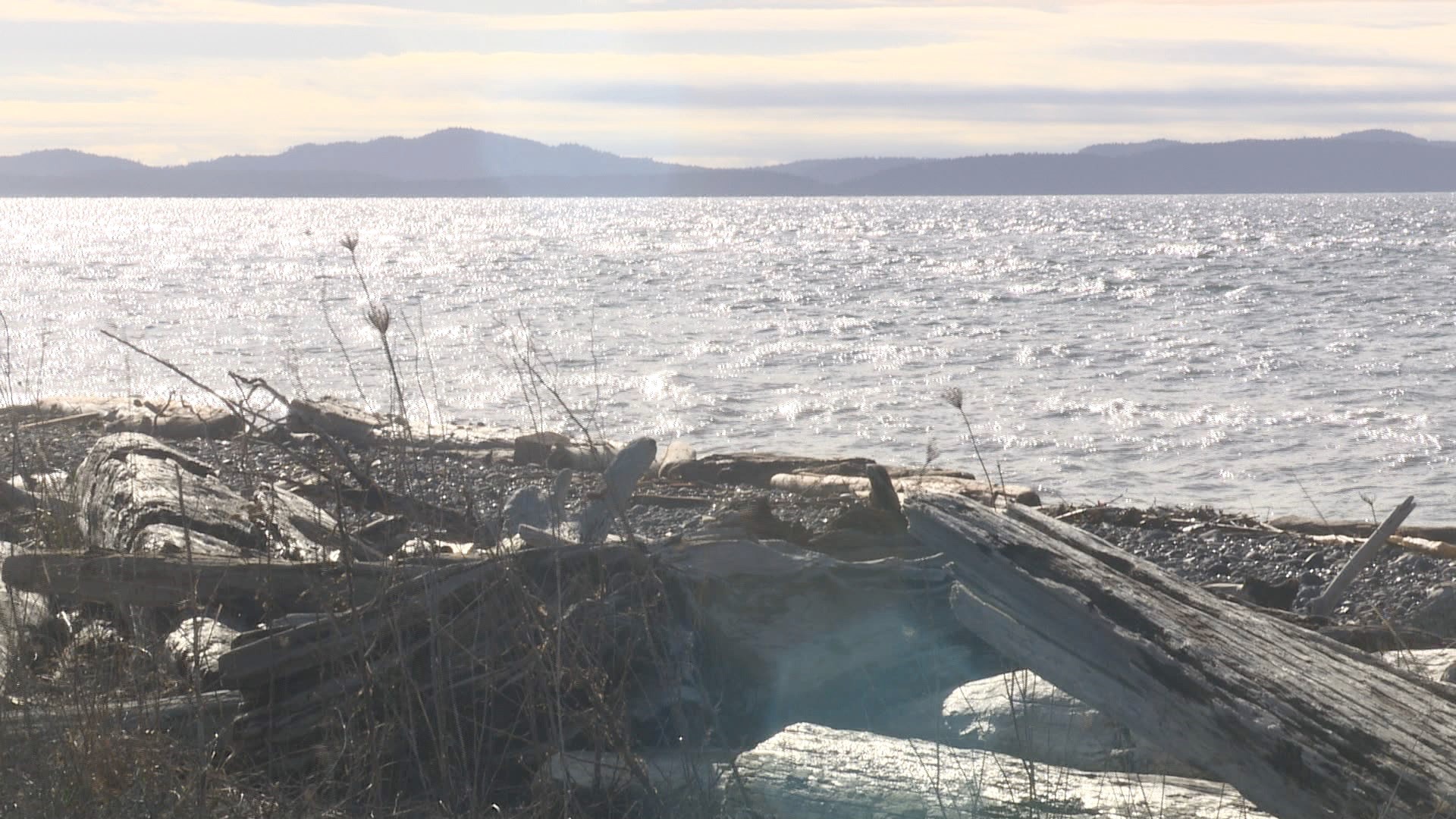 Point Roberts is a Washington state ghost town in the making | king5.com