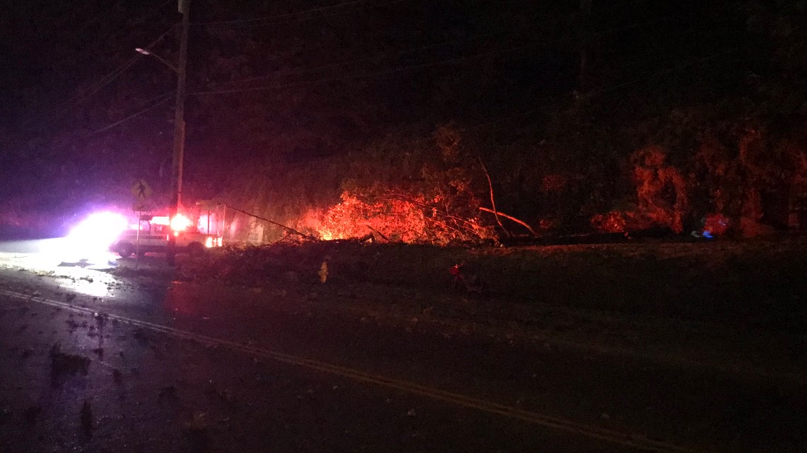Downed tree causes power outage for thousands in West Seattle | king5.com