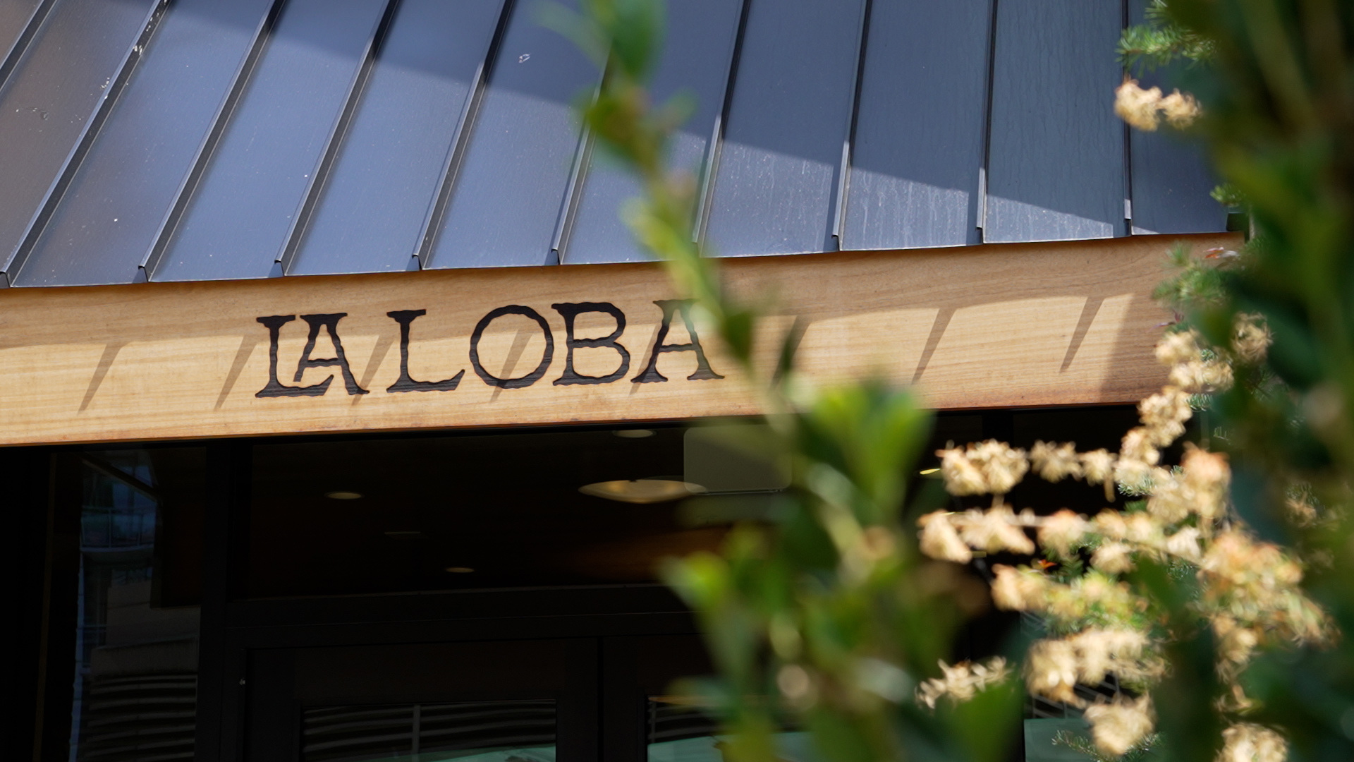 La Loba blends the dining experience of Barcelona with the spirit of the PNW | king5.com