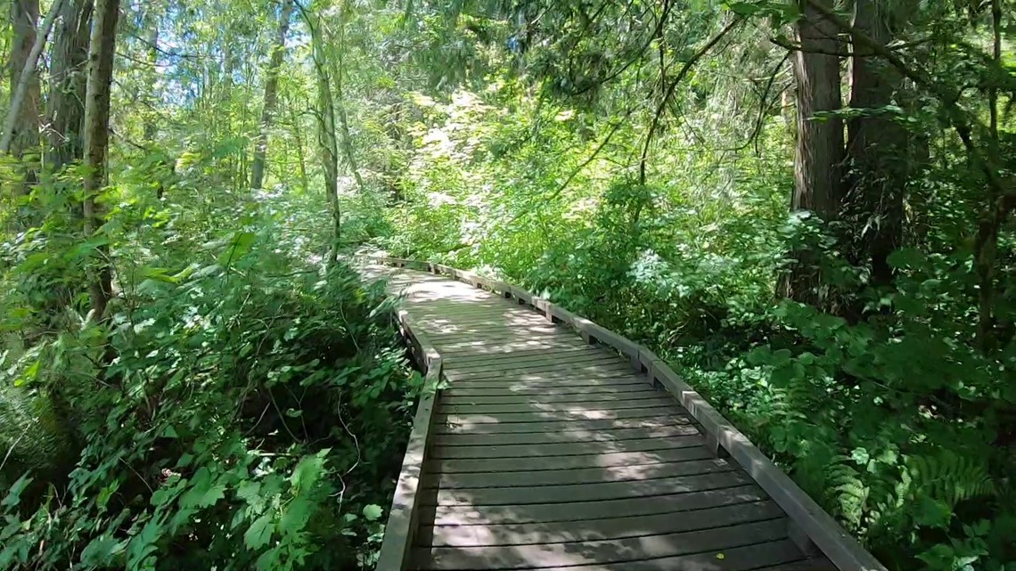 The Northwest Stream Center Nature Trail is prefect for wildlife ...