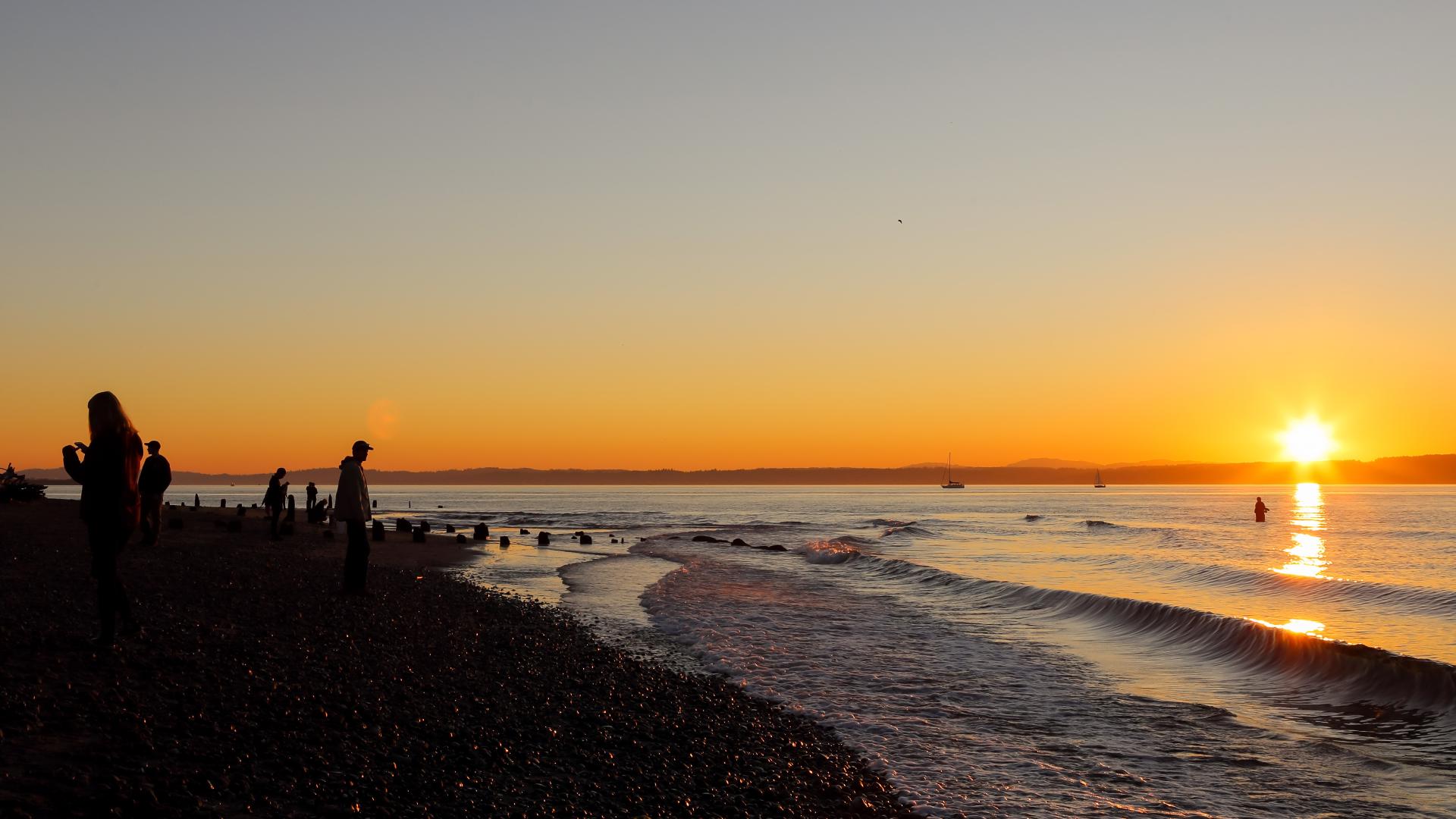 Seattle to launch direct summer bus service to Golden Gardens | king5.com