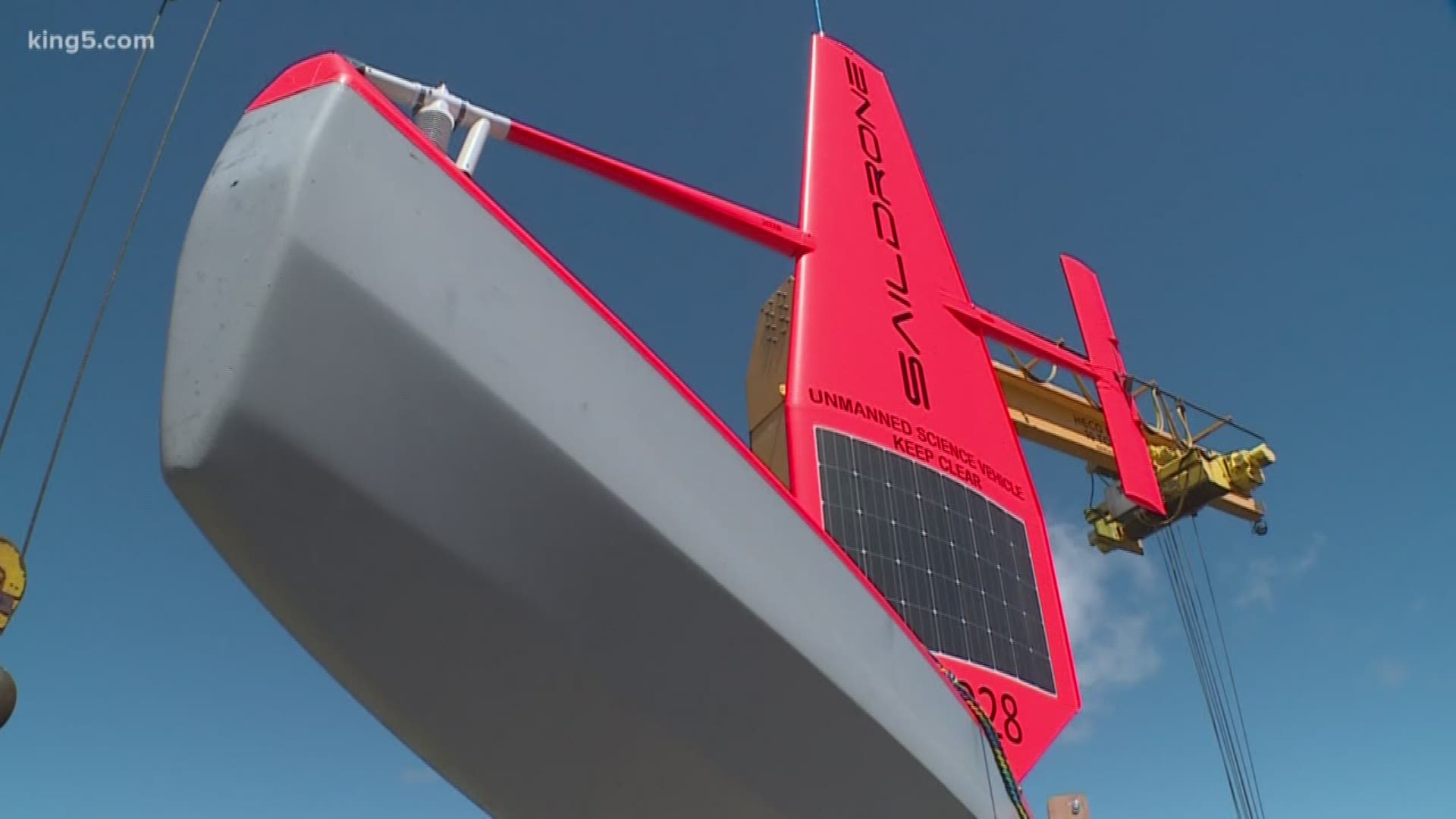 Ocean robots help NOAA assess fishery health | king5.com