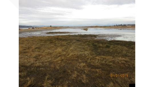 Why do human feet inside of shoes wash ashore in the Salish Sea ...