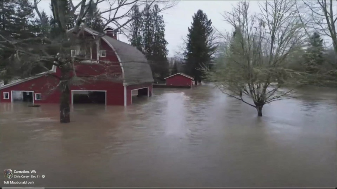 60 years of farming, biggest flood ever: Carnation strawberry farm feet ...