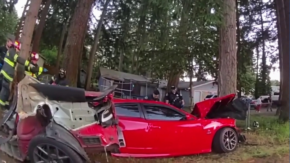 Car splits in half after hitting tree in Pierce County | king5.com