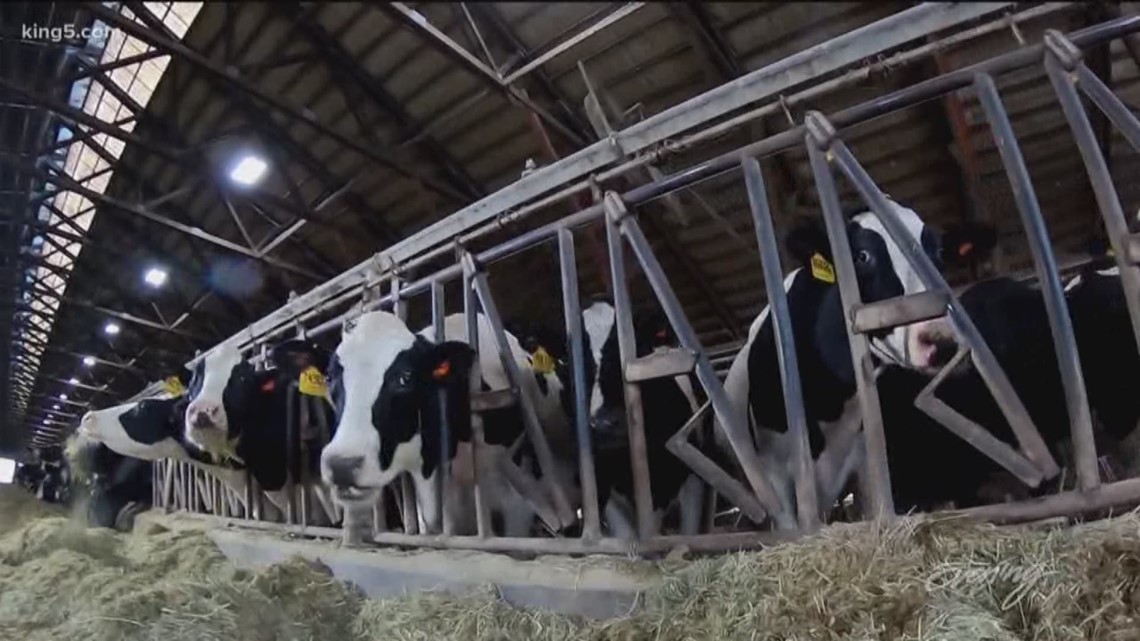 Poop power from PSE | king5.com