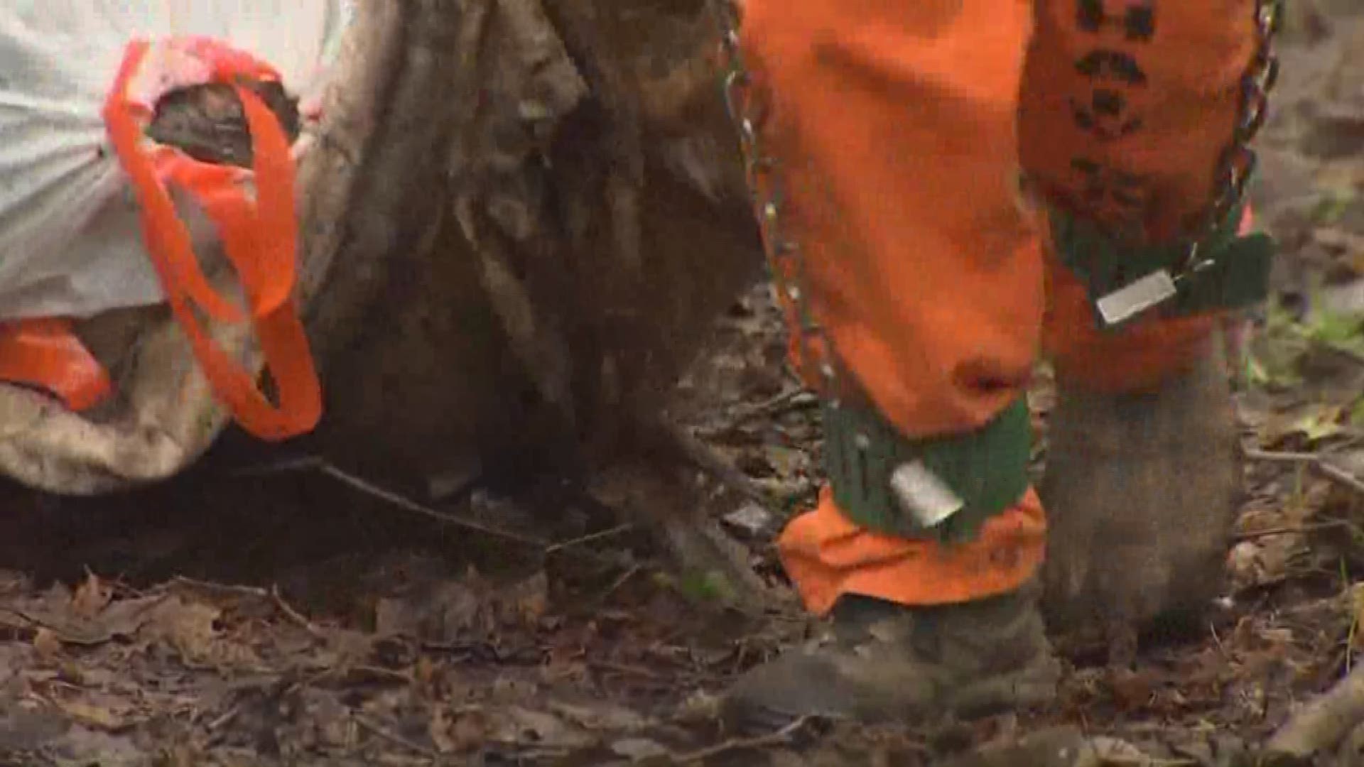 Prison fight with 81 inmates locks down Clallam Bay Corrections Center ...