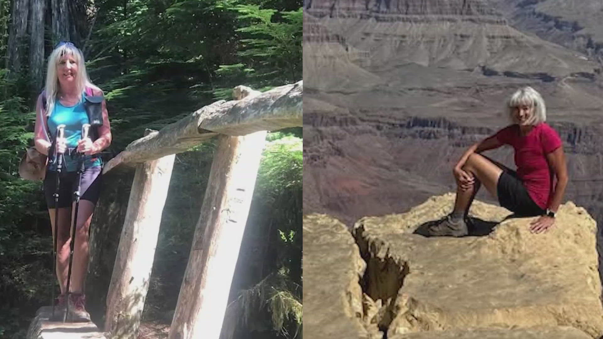 Two women killed by falling tree in the Olympics | king5.com