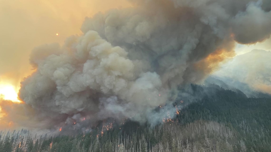 Is wildfire season over? What to know about burn bans in WA | king5.com