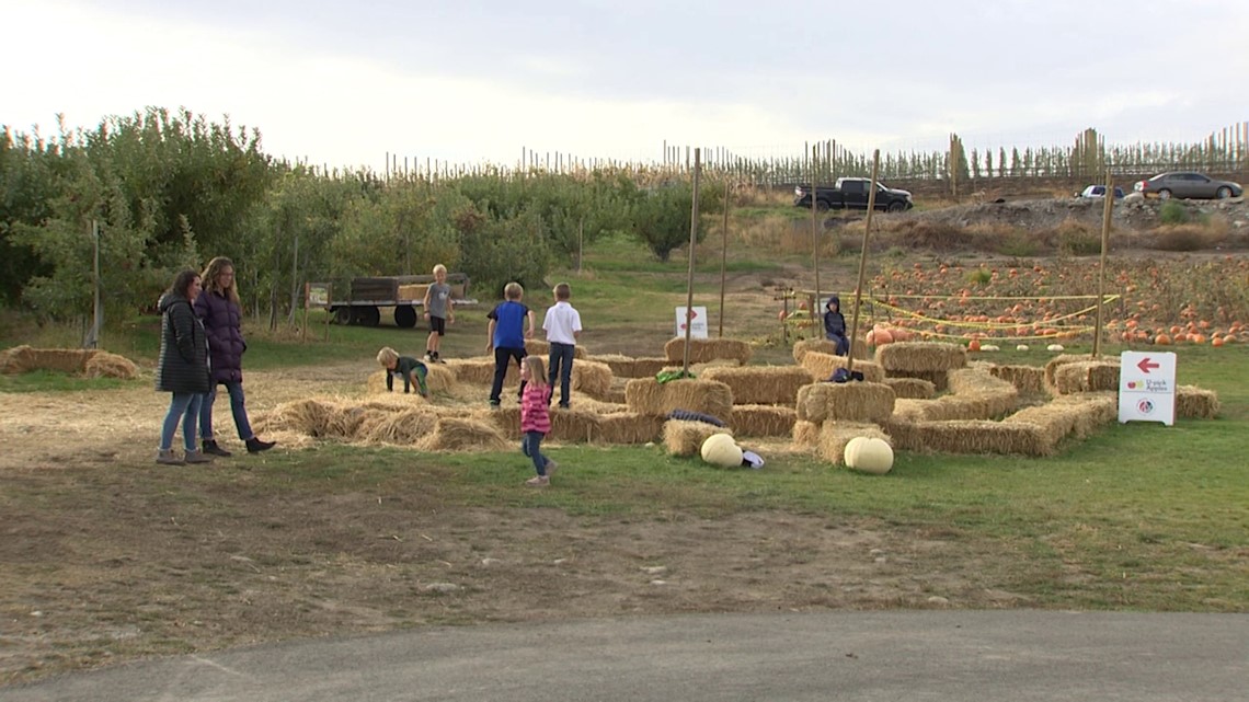 Reconnect with nature at Chelan Valley Farms | king5.com