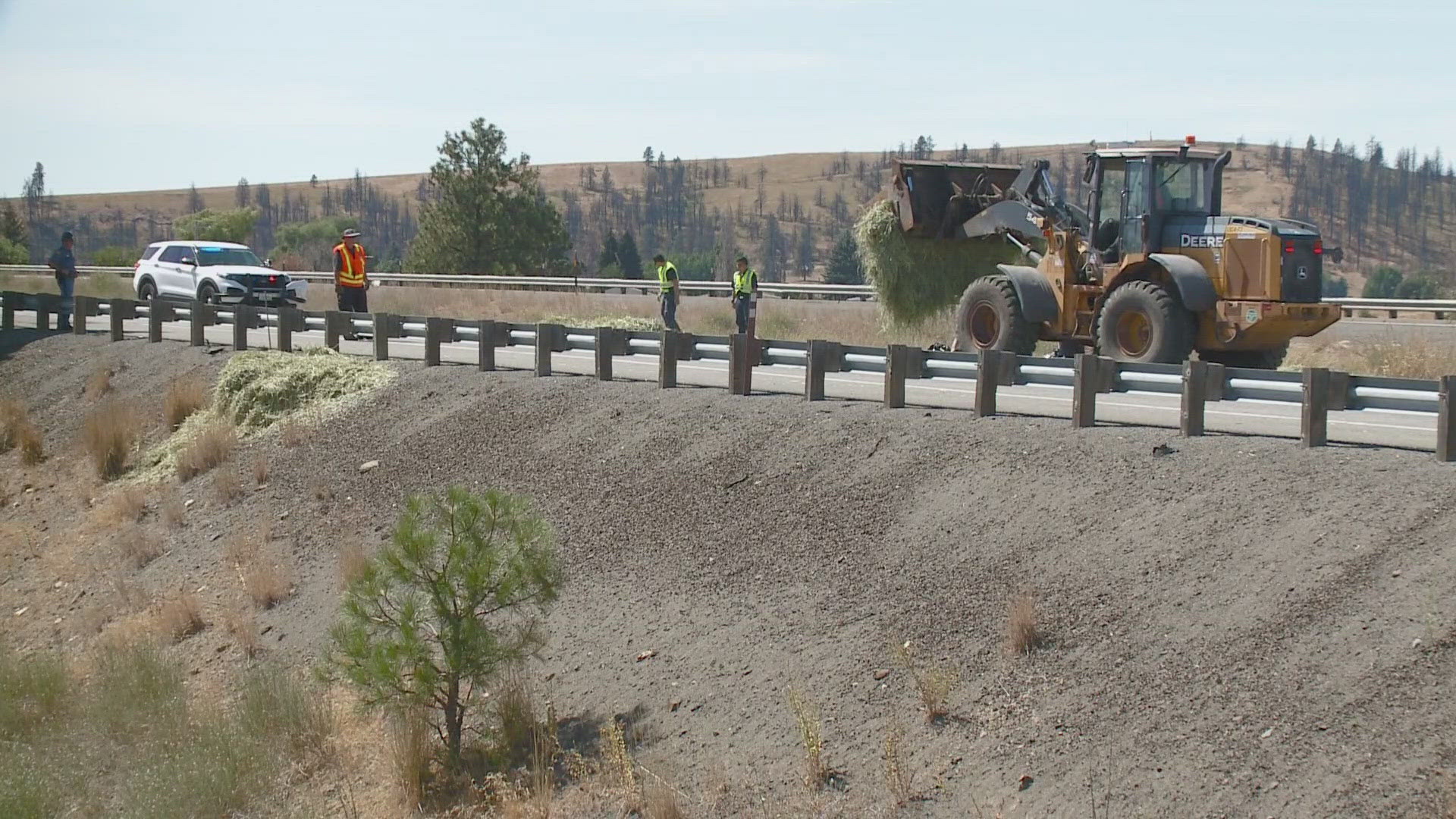 Spokane County Sheriff's Sergeant dies in traffic incident | king5.com