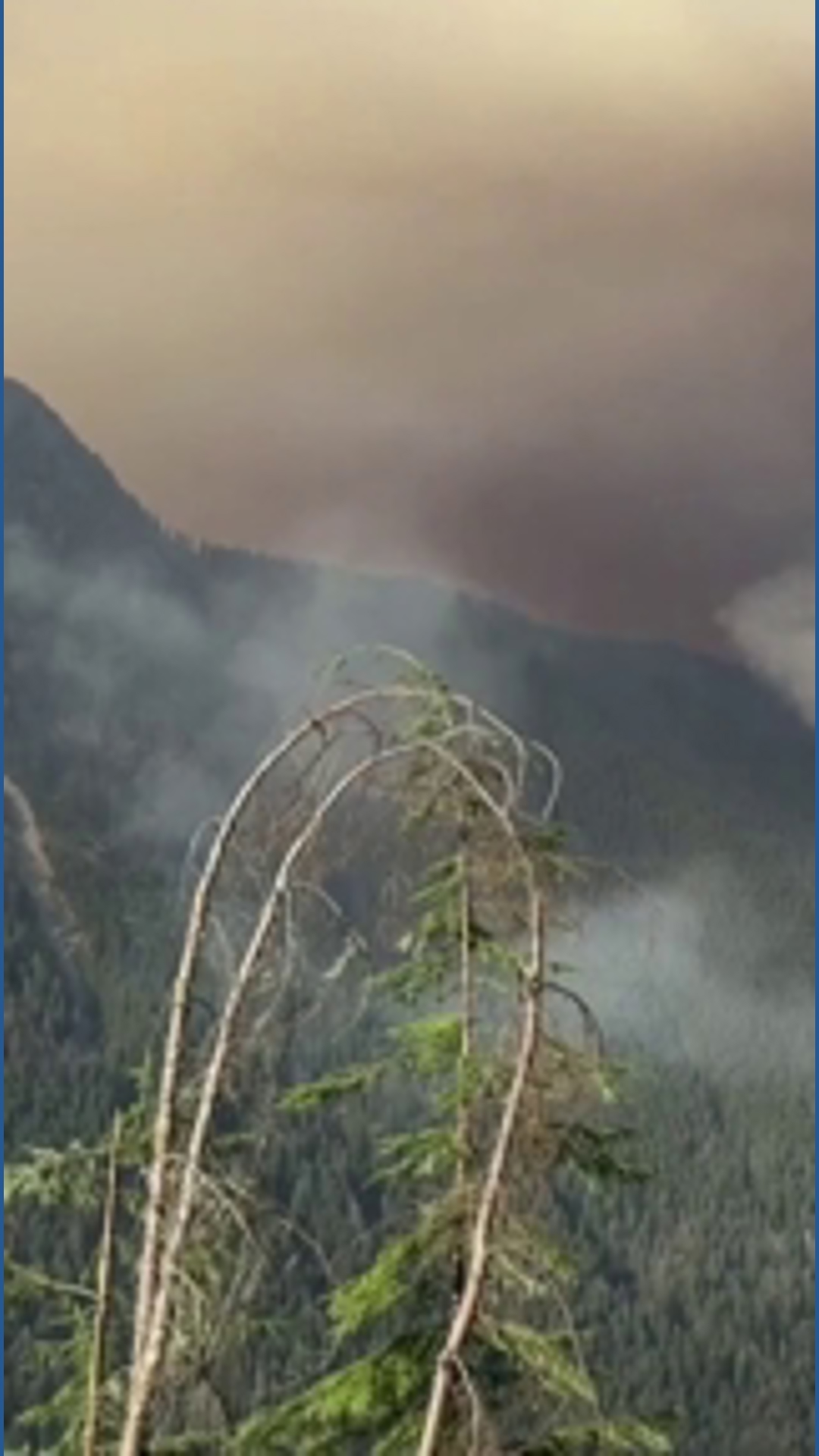Heavy rain raises concern of debris flows near Lake Cushman | king5.com