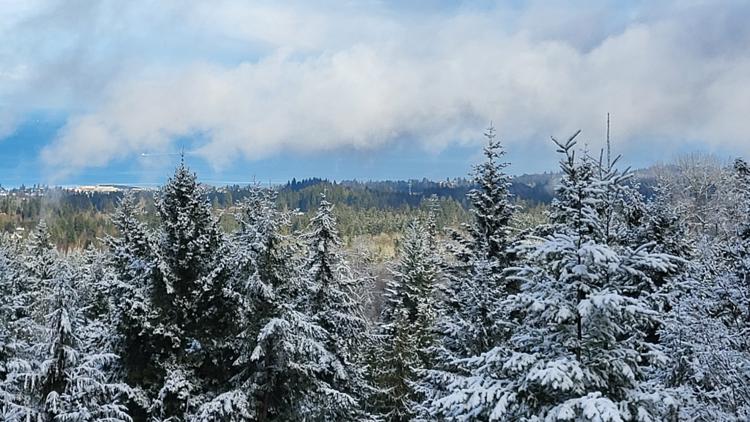 Seattle City Light bills to rise 30 percent by 2024 | king5.com