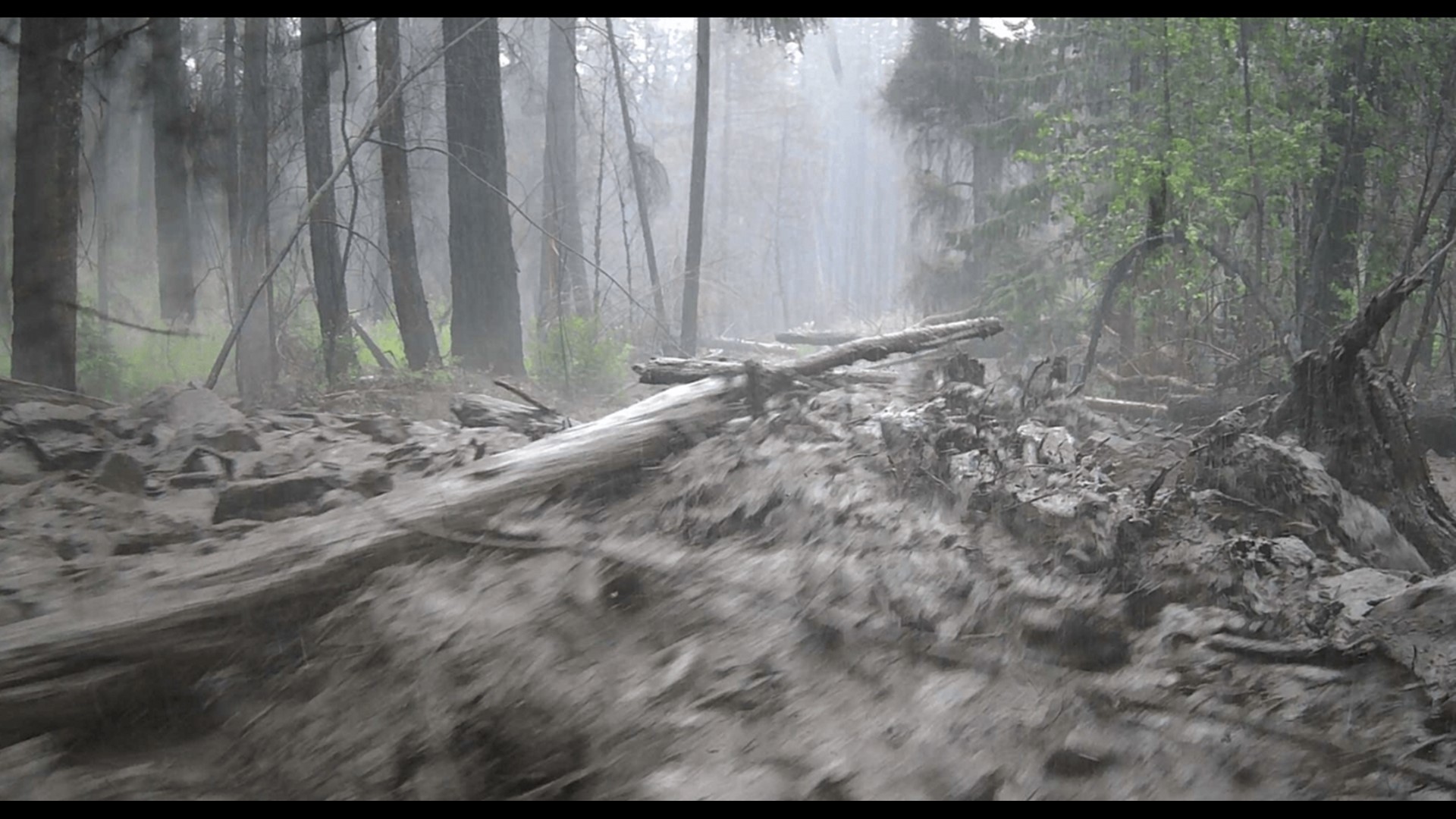 Understanding Pacific Northwest debris flows | king5.com