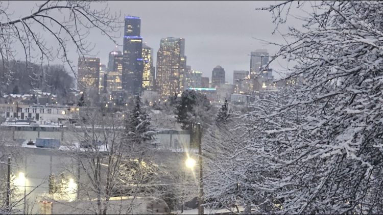 Milk Street's new book "Cookish" puts a fresh take on fast food at home ...