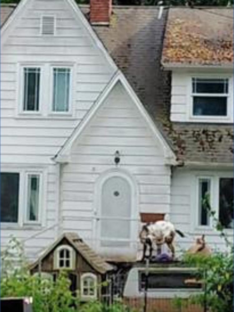 Burien weighs major zoning changes as state pushes for more density ...