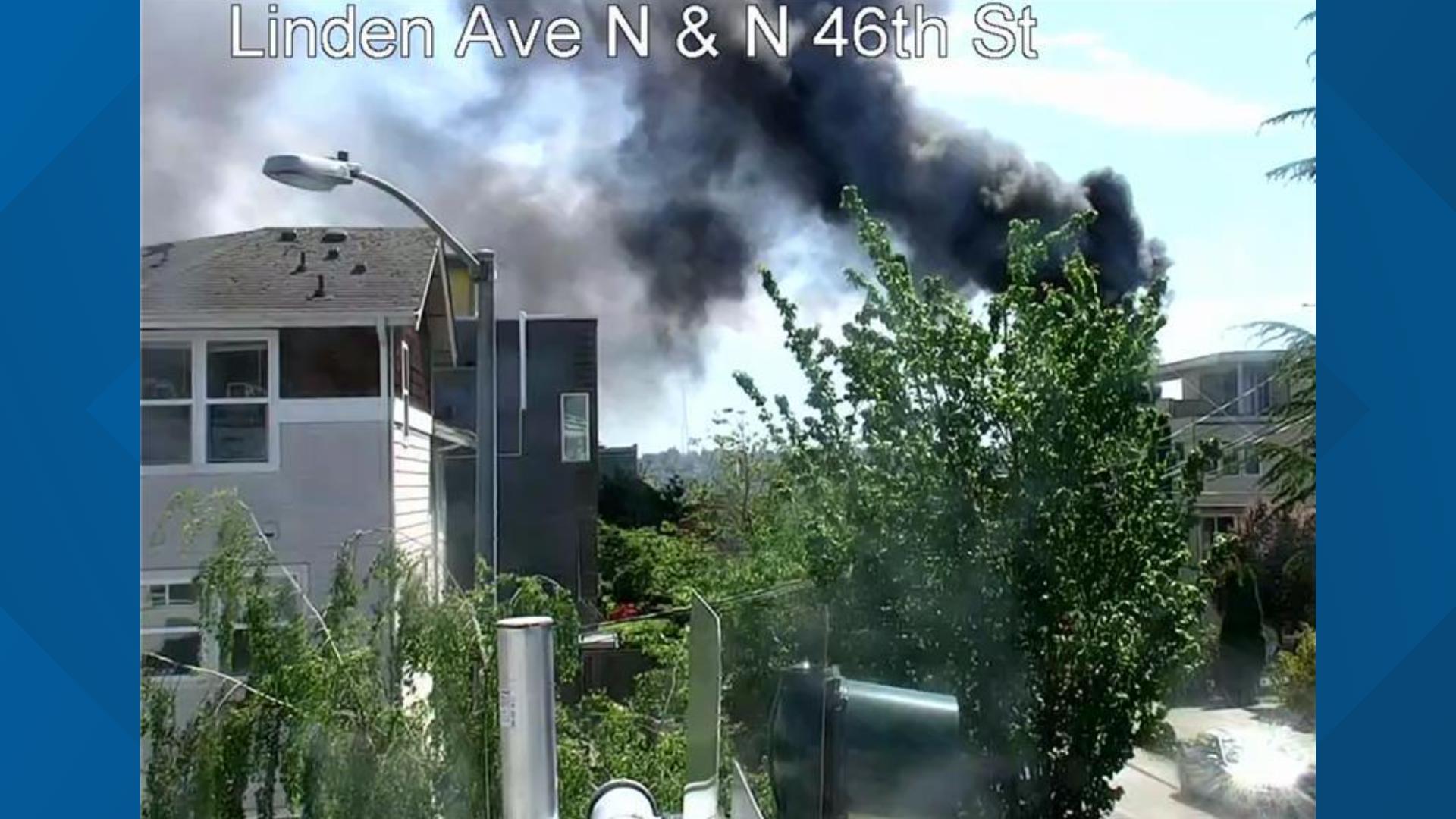 Cat rescued by Seattle Fire crews who were responding to 2-alarm blaze ...