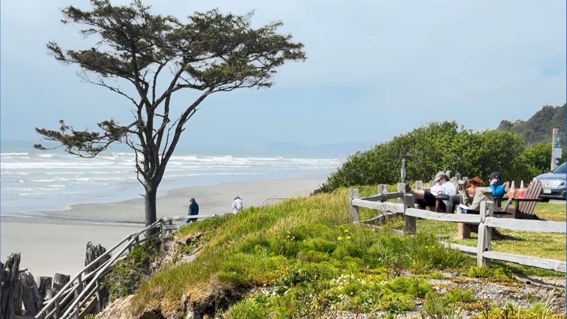 Kalaloch Lodge wins Best Pet Friendly Getaway - 2026's BNWE | king5.com