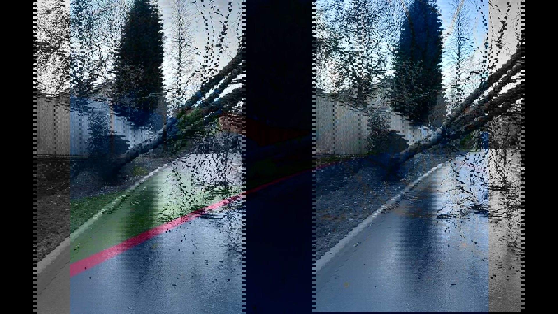 Near Me | Photos and Videos | king5.com