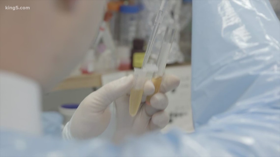 Washington AG sues Seattle stem cell company over COVID claims | king5.com