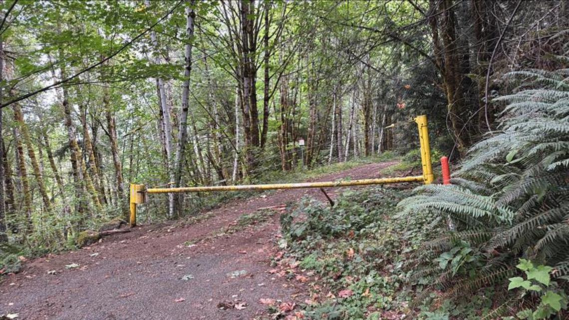 Anacortes teacher fatally stabbed, police search for missing husband ...