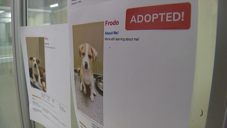 Interactive Weather Radar | Seattle, Washington | king5.com