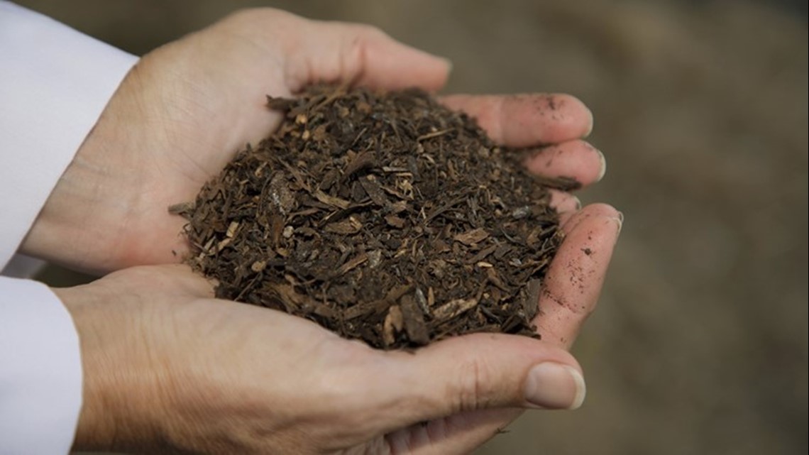 Washington could become first state to legalize human composting ...