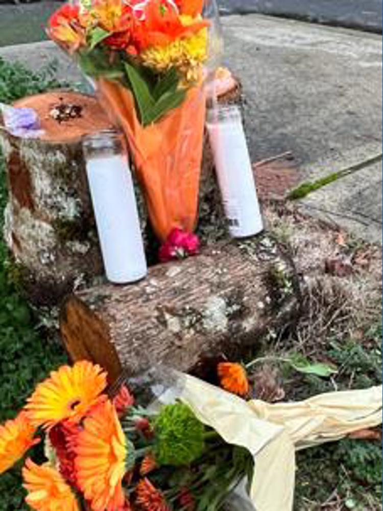 Nonprofit offers reward in shooting that killed two Lacey brothers ...