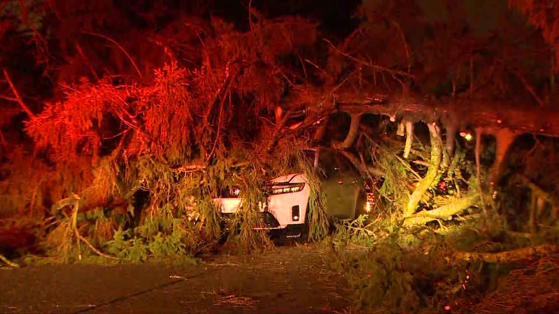 Trees collapse on cars as powerful winds hit western Washington | king5.com