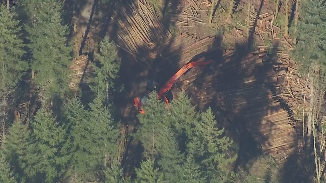 Timber workers find human remains in Lewis County | king5.com