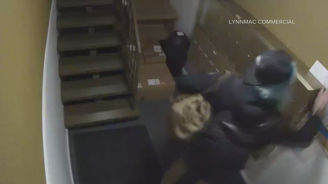 Mail theft on the rise: Break-ins caught on camera show suspect ...