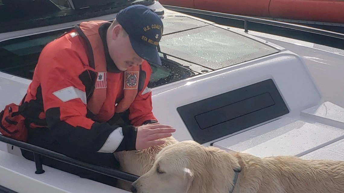 WSF crew, USCG rescue people, dogs in vessel near Rosario Strait ...