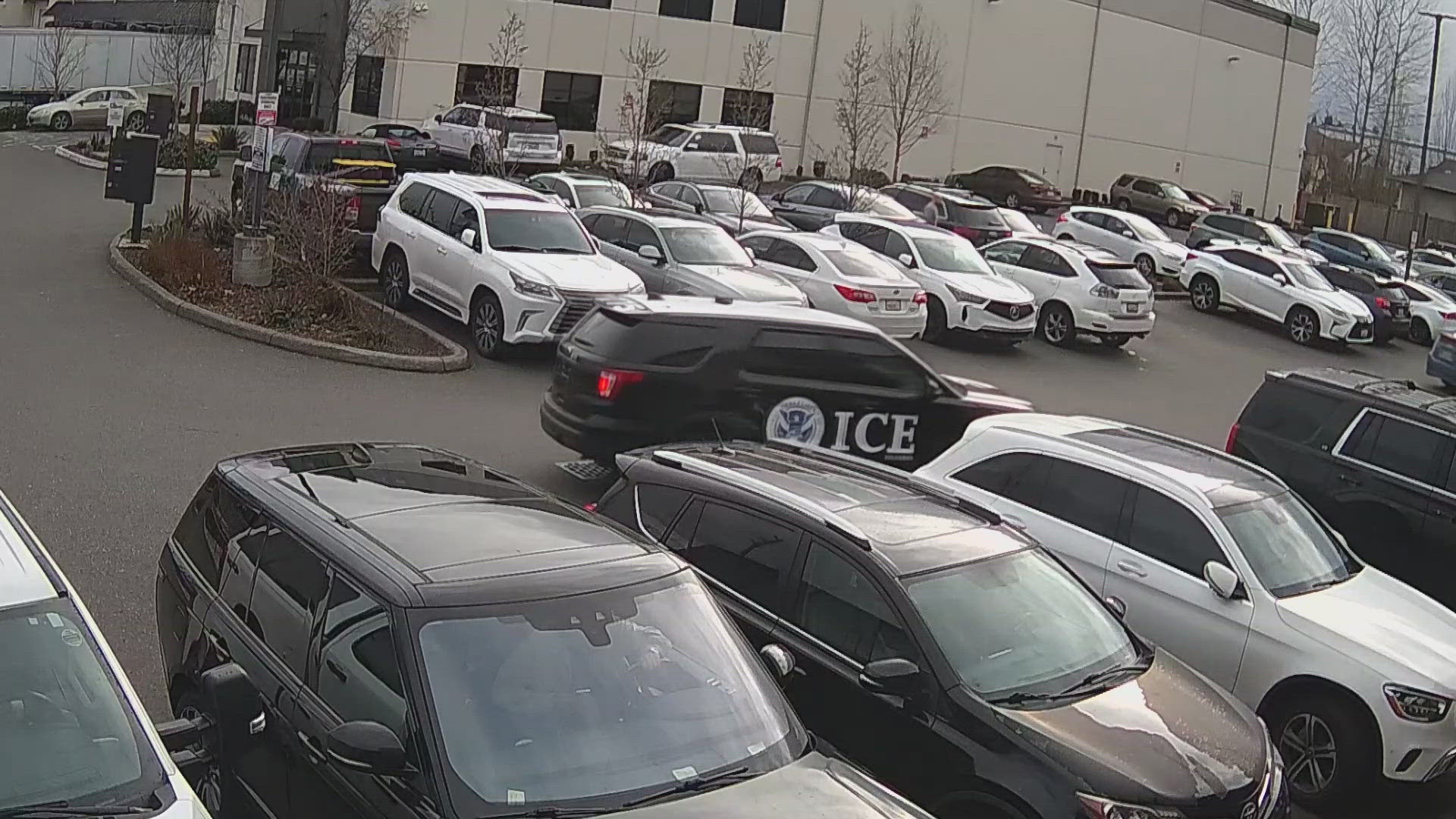 Fife police probe fake 'ICE' agent incident at Ukrainian store | king5.com