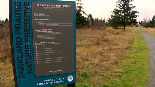 Ghost forest reveals clues to the Cascadia Subduction Zone’s last ...