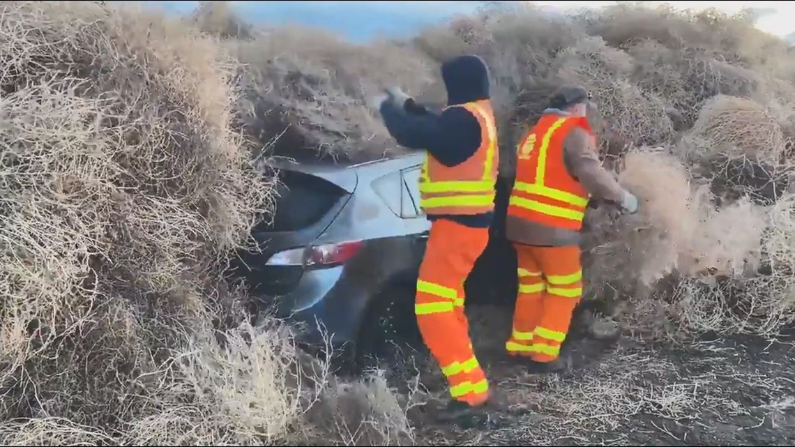 Tumbleweed invasion traps vehicles near Richland, Washington | king5.com