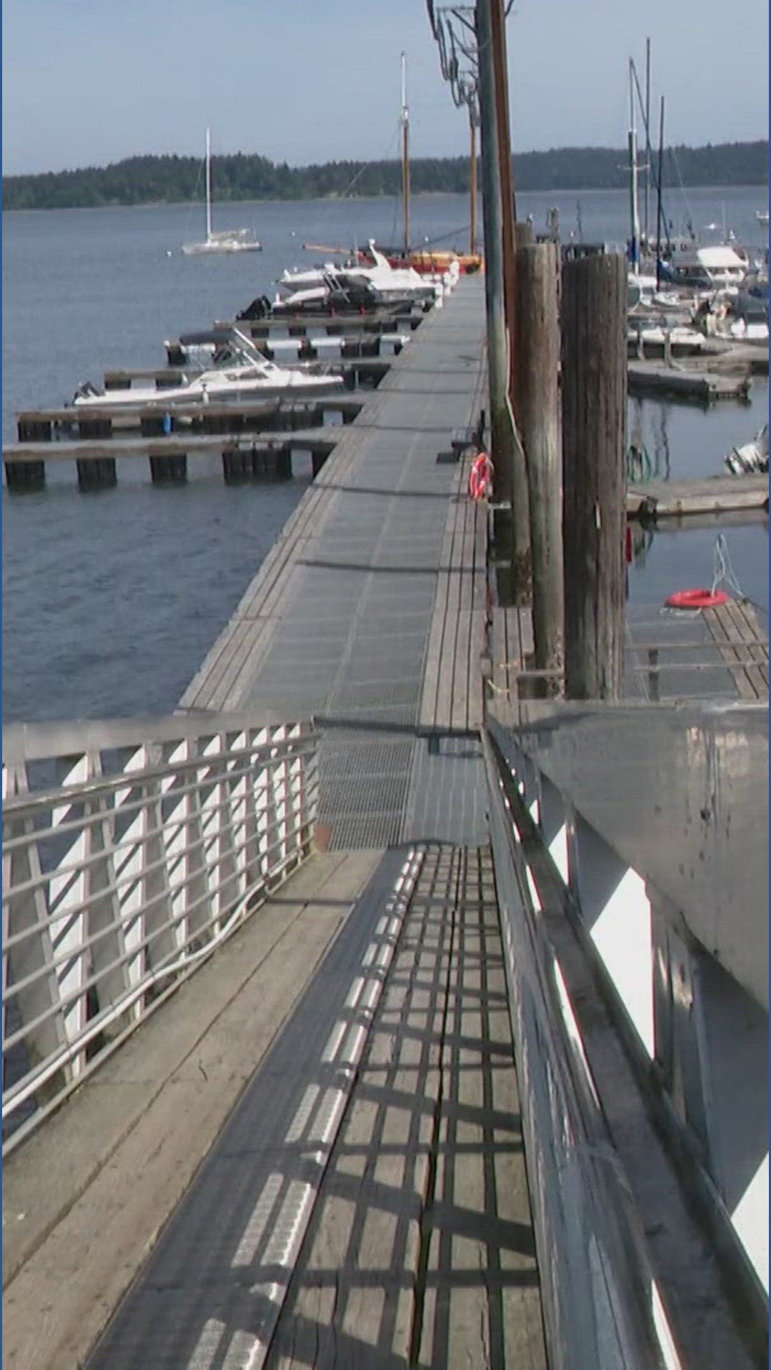 Hit-and-run boat collision near Boston Harbor leaves person with ...