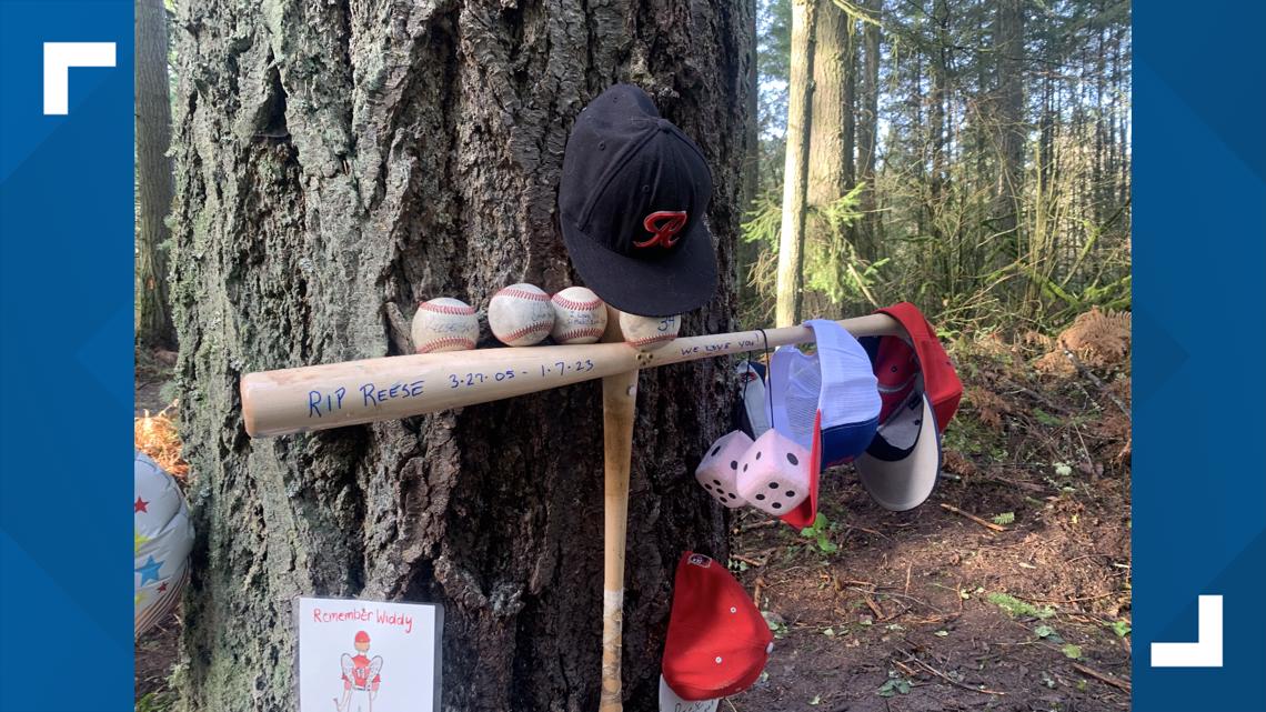 2 western Washington teen athletes die days apart | king5.com