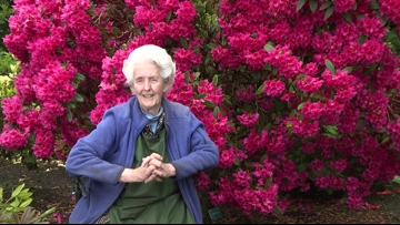 Evening | Seattle, WA | king5.com