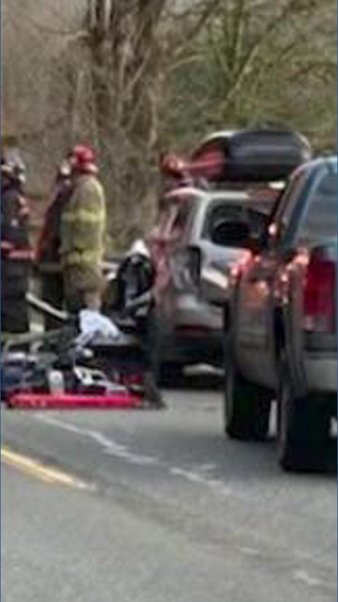 Falling tree kills woman on SR 203 ahead of atmospheric river | king5.com